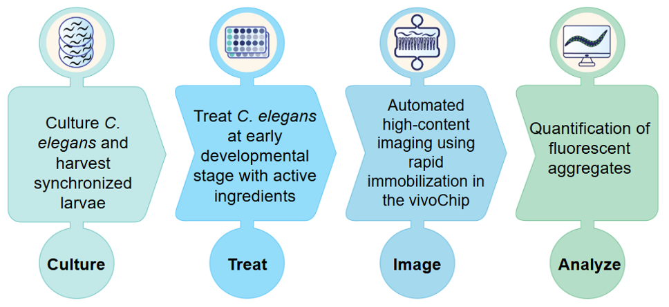 Unlocking the Mysteries of Protein Aggregation: Insights from C ...